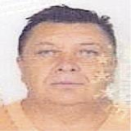 Elvedin Mujezinović - Sarajevo